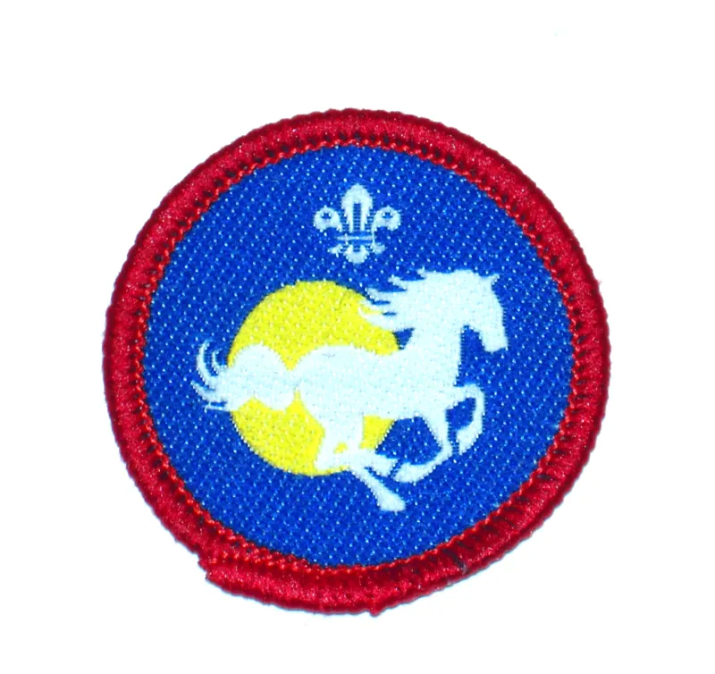 Scout Equestrian