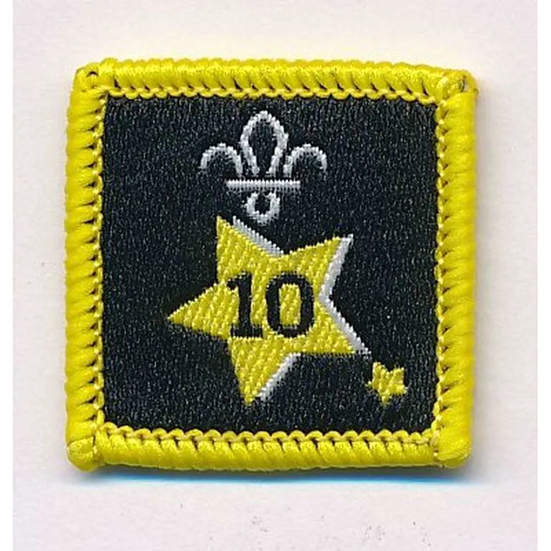 Joining in Award Badge 10.