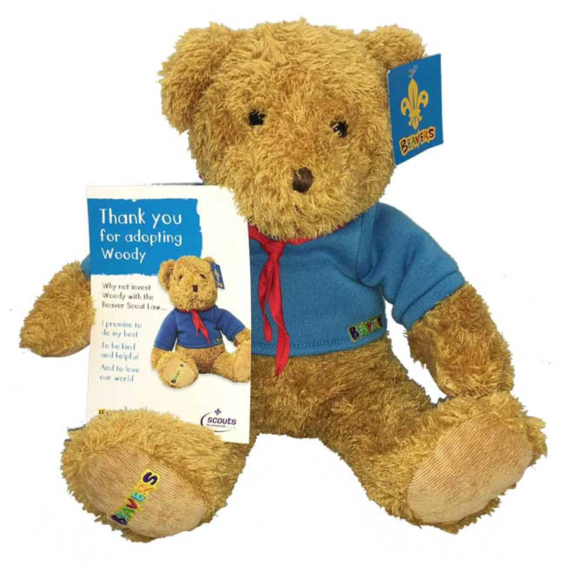 Beaver Woody Bear